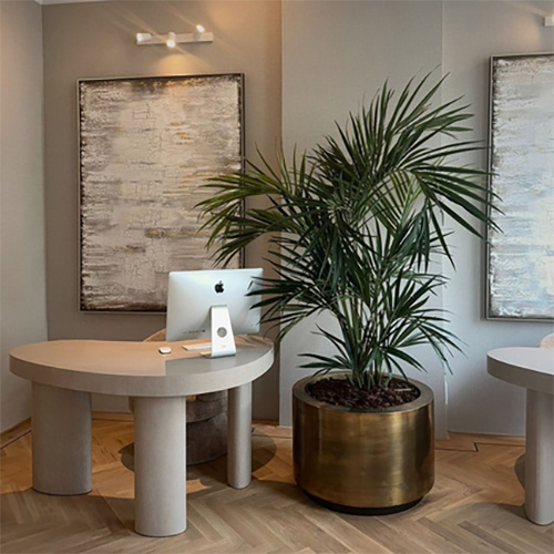 Botox, Fillers en Profilho - House of Bratz